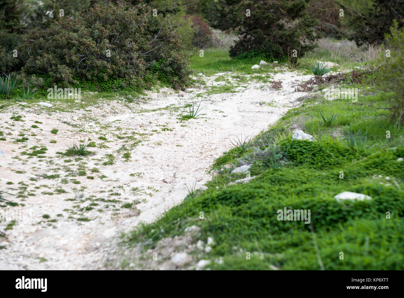 Nature trail in Larnaca, Cyprus Stock Photo - Alamy