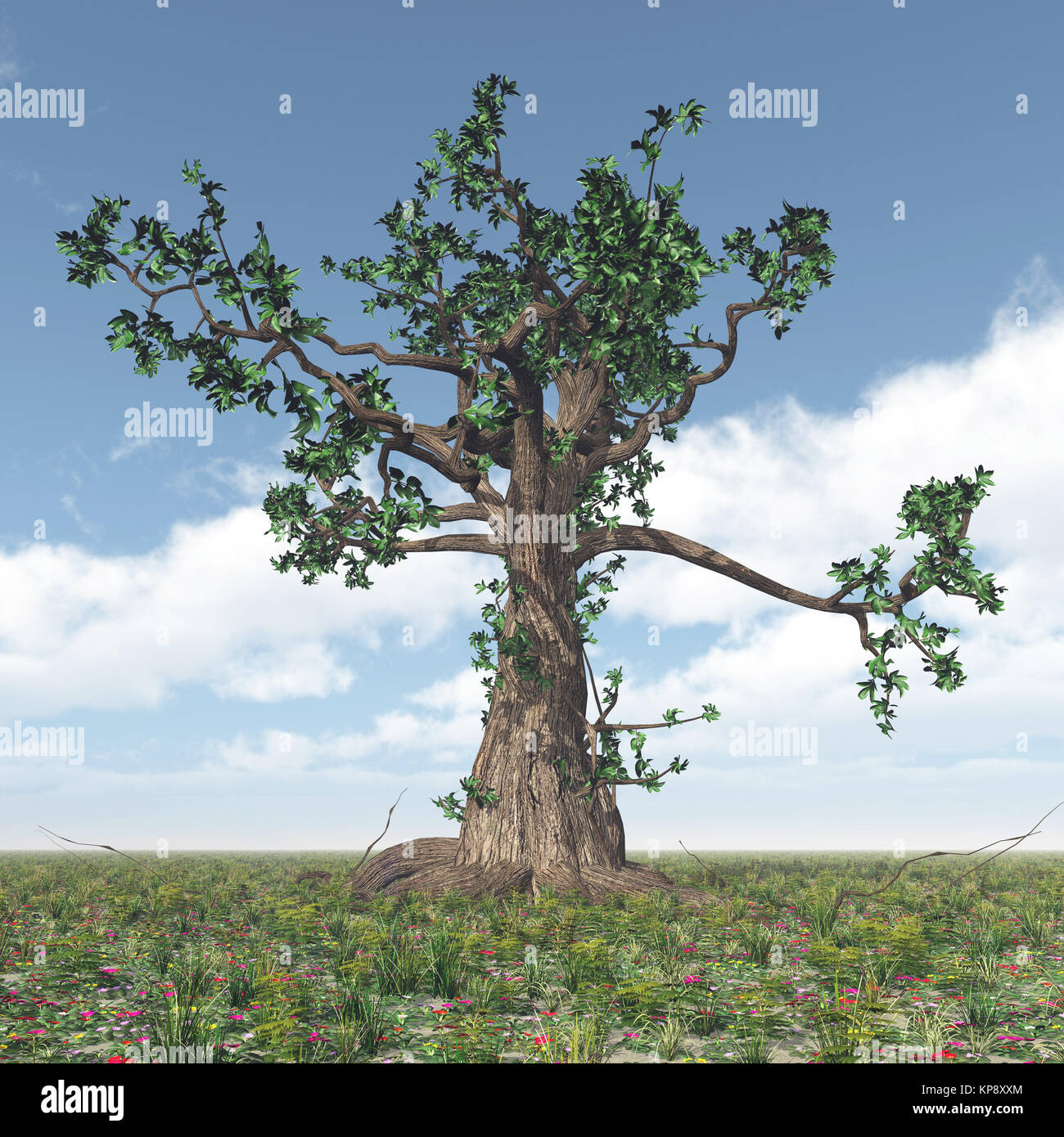 Astreich hi-res stock photography and images - Alamy