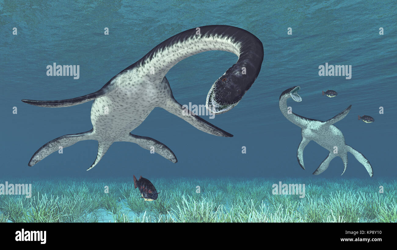 plesiosaur on the hunt Stock Photo - Alamy