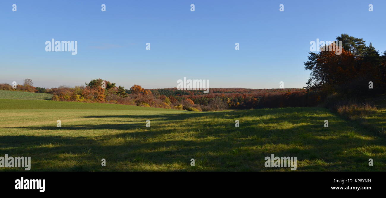 Autumn fields and forests Stock Photo - Alamy