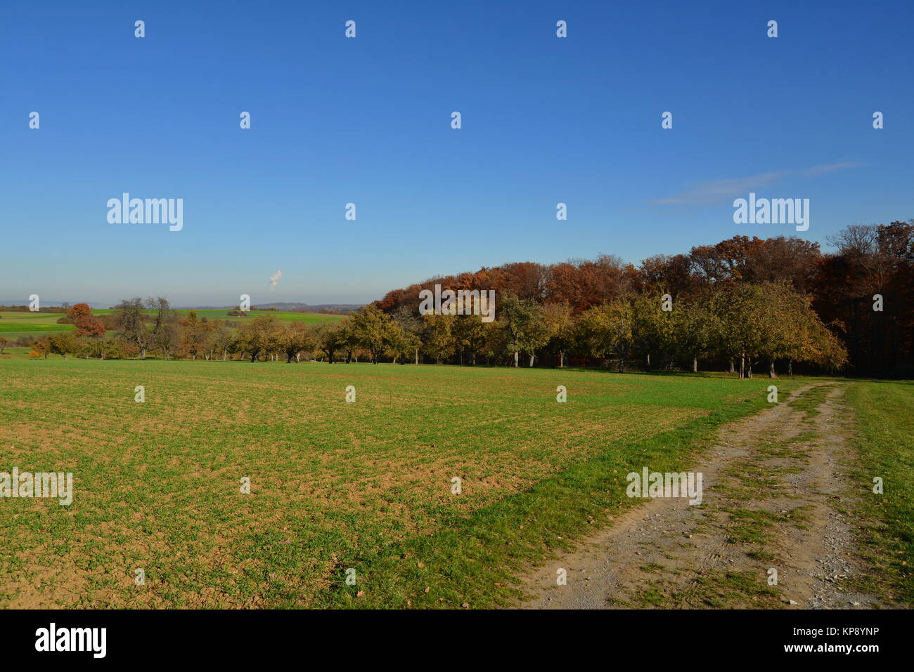 autumn fields and forests Stock Photo - Alamy