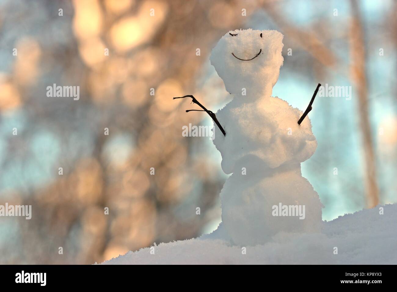 Friendly little snowman Stock Photo - Alamy