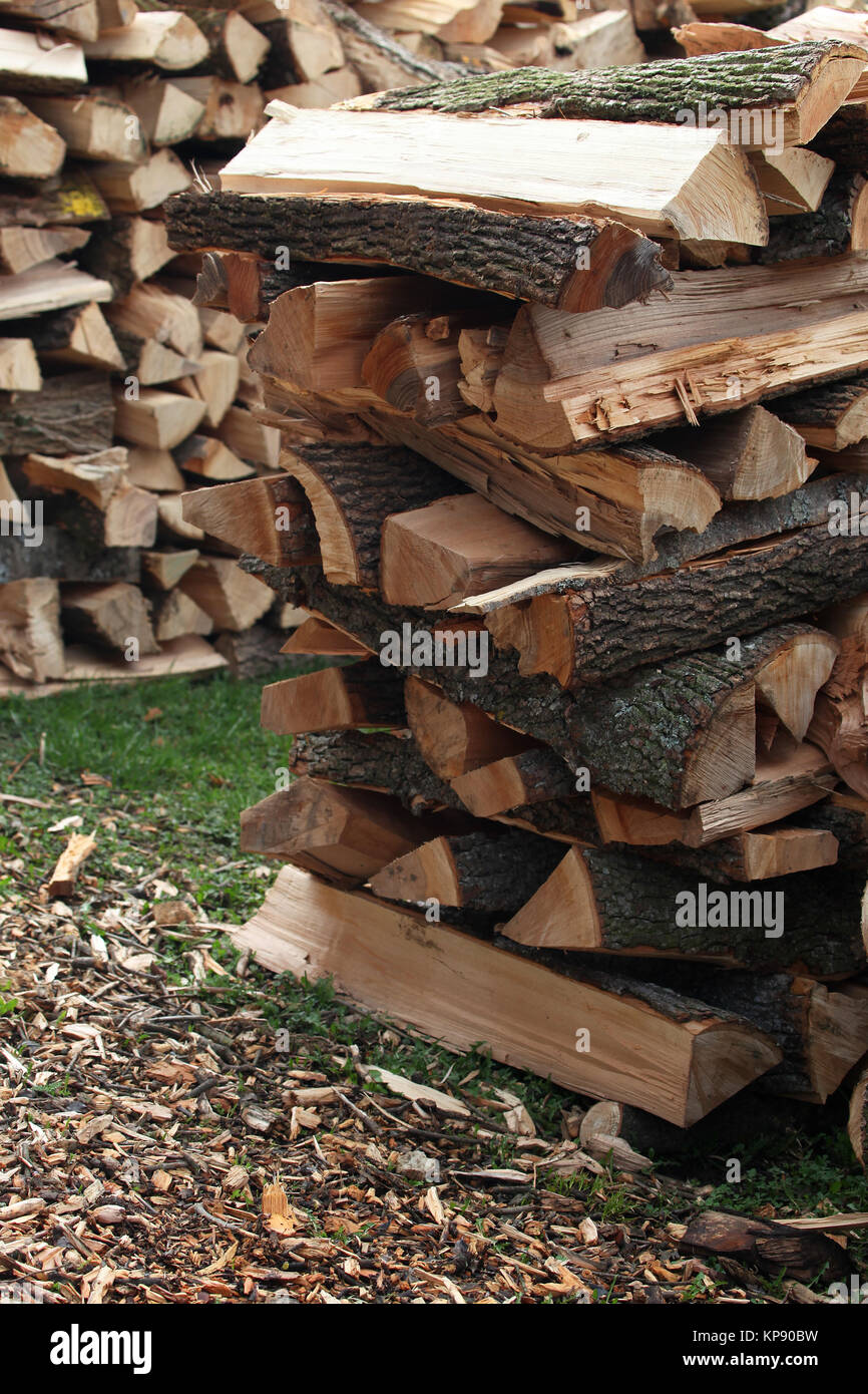 Stacks of firewood in the forest Stock Photo - Alamy