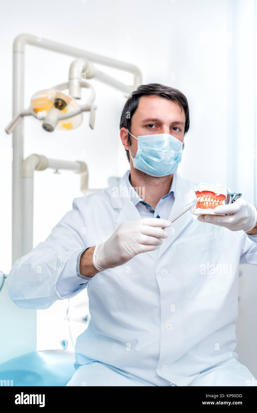 dentist in dental practice presents the dentition Stock Photo - Alamy