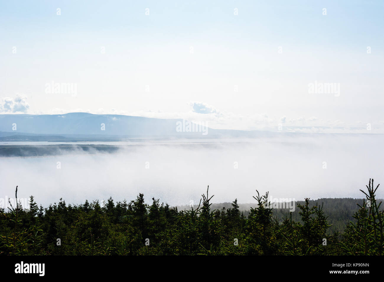 Low fog between trees and distant mountain range Stock Photo - Alamy