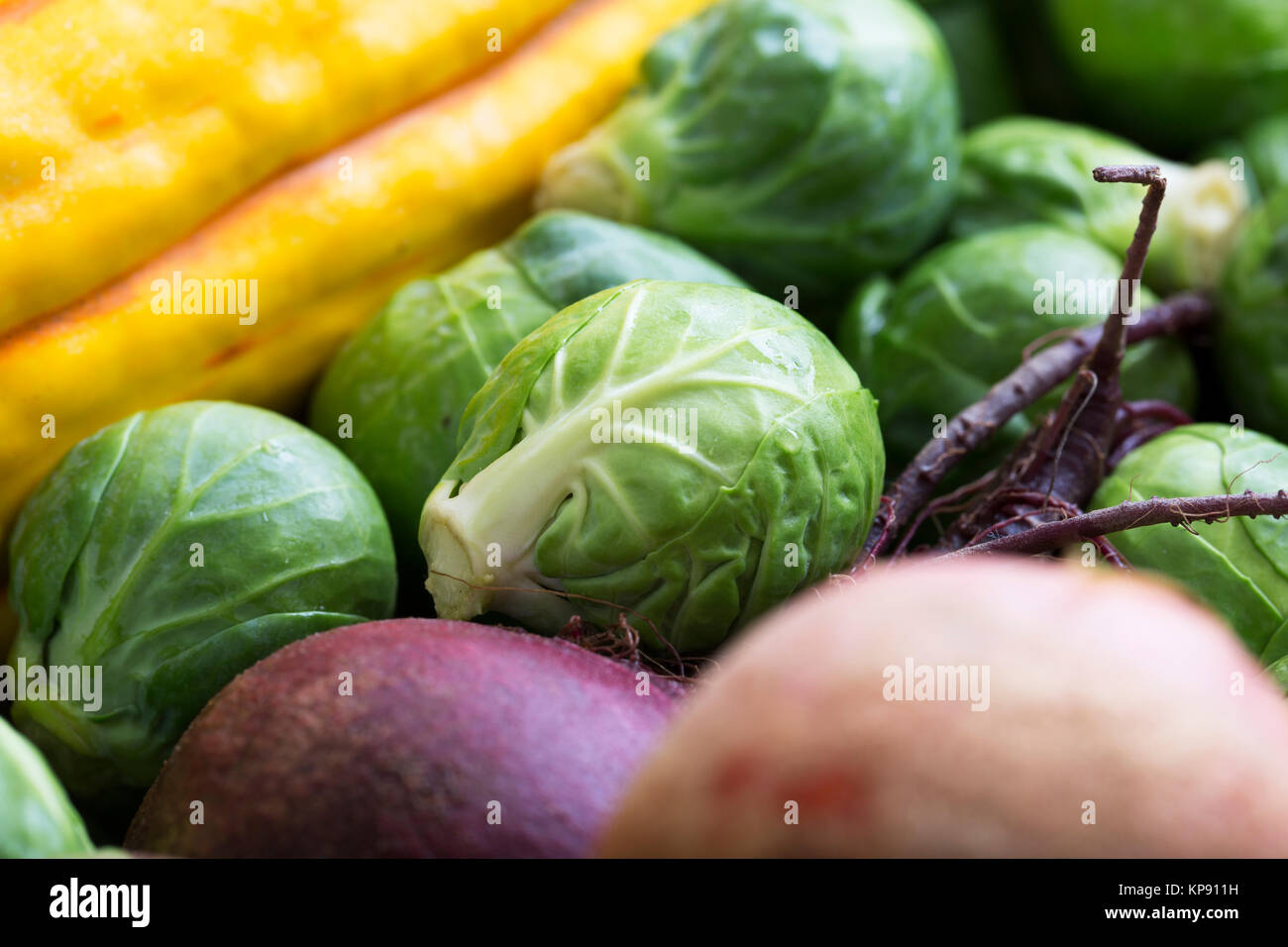 Winter Brussels Sprout Stock Photo - Alamy