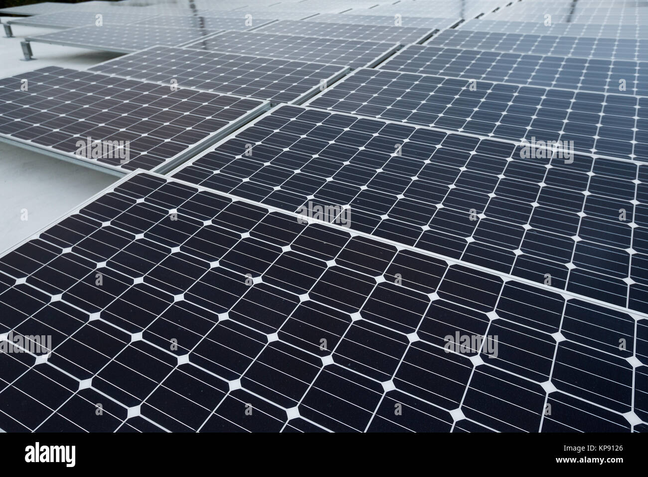 Field of Photovoltaic Solar Panels For Renewable Electrical Energy ...
