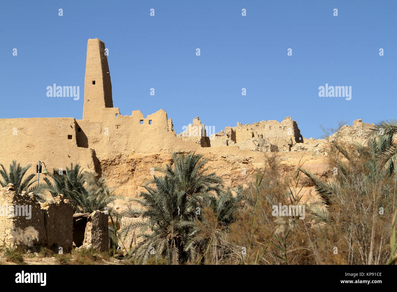 Temple of oracle of amun hi-res stock photography and images - Alamy
