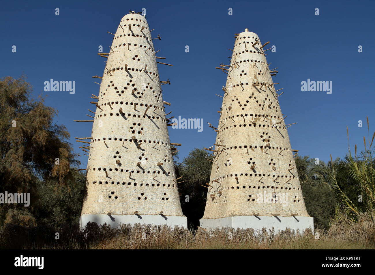 Dovecote in the oasis Siwa in Egypt Stock Photo - Alamy