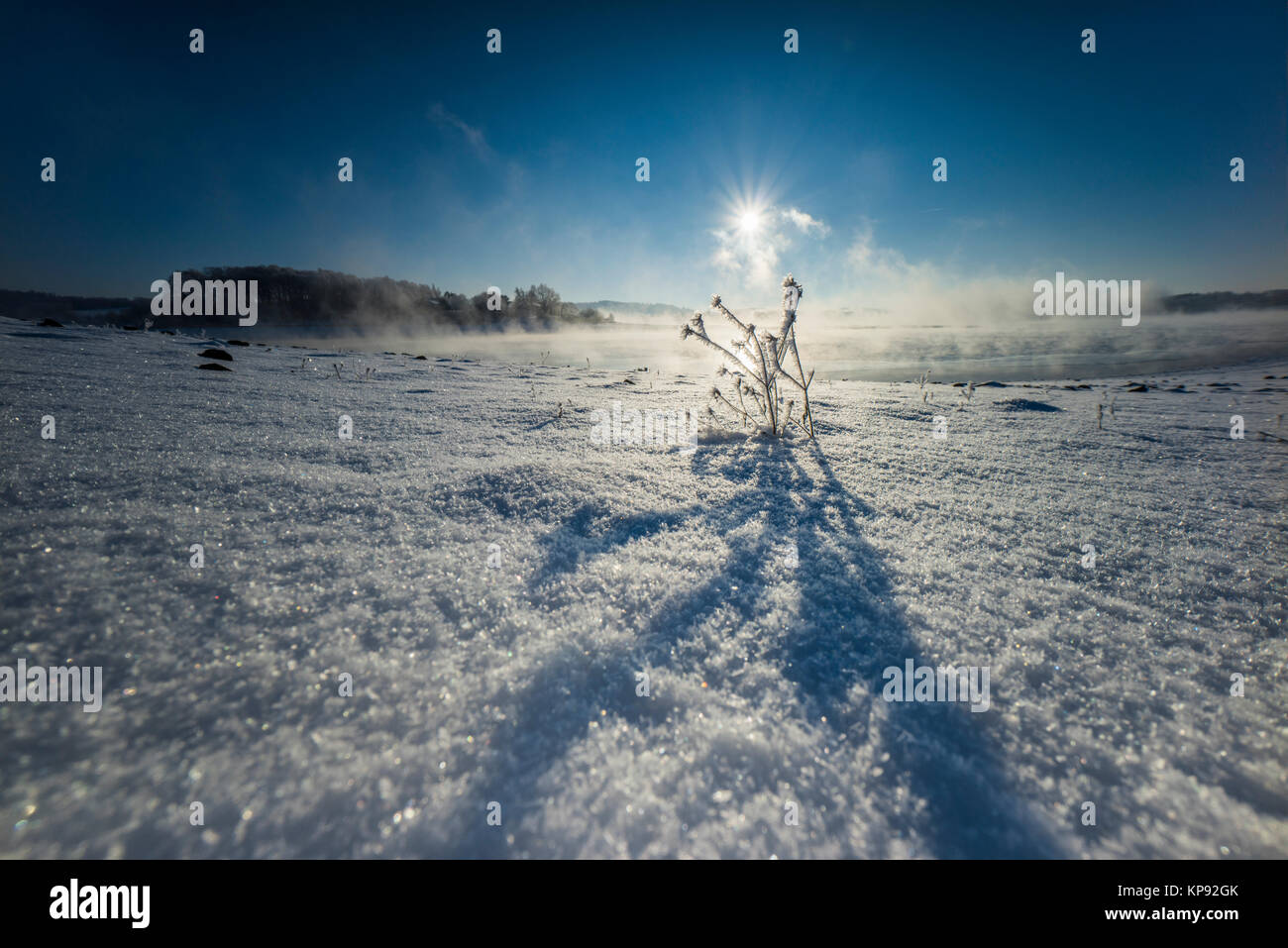 Sunrise in snow with fog and breaking sun at the lake Stock Photo - Alamy