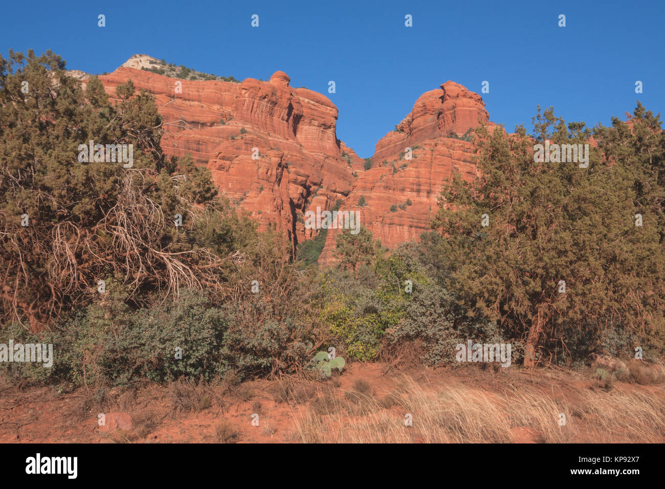 Red Rock Wall Landscape Stock Photo - Alamy