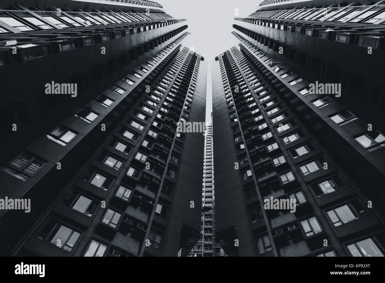 high rises building in black and white art photography of cityscape ...