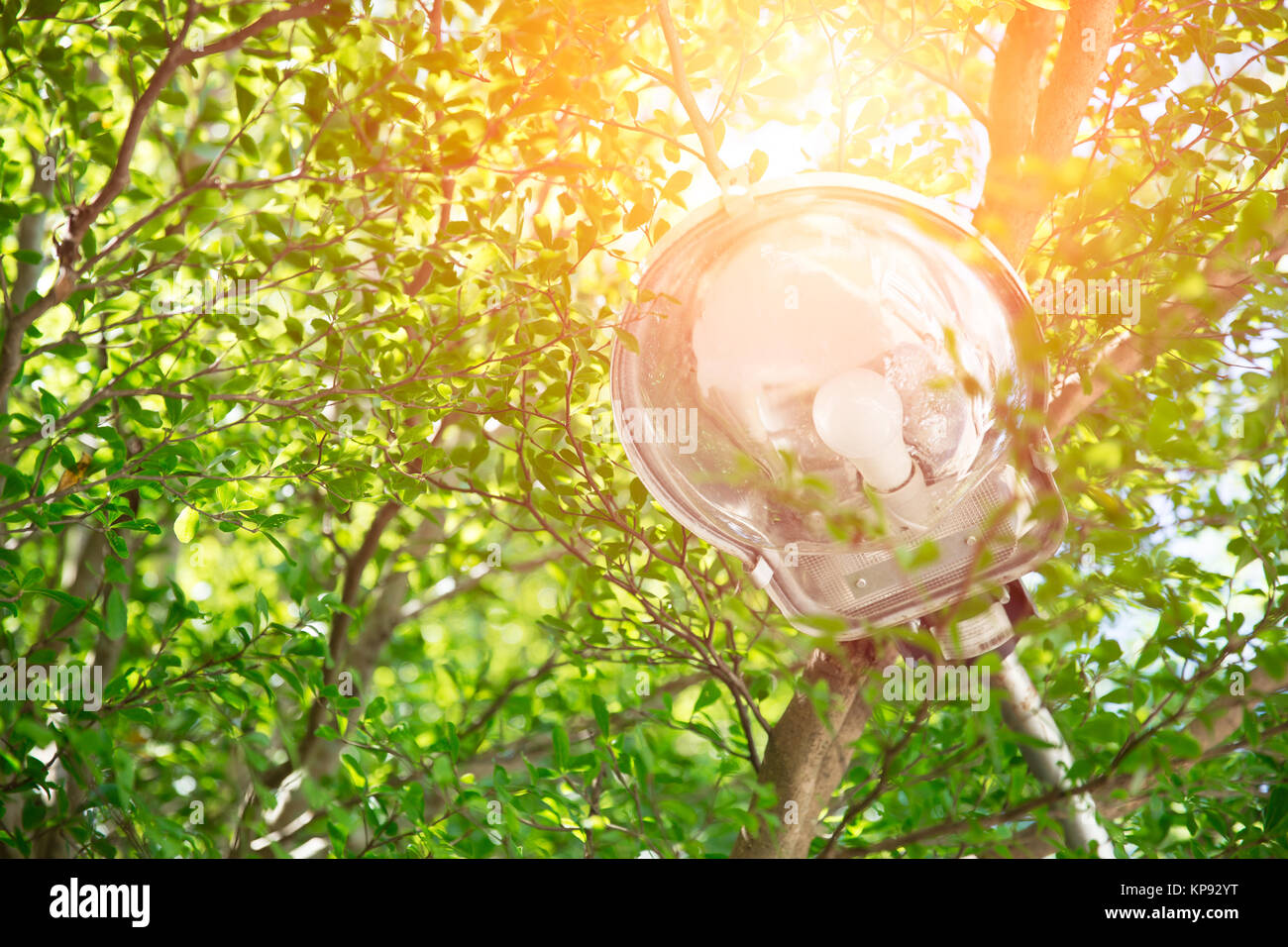 Street lamp with green tree energy with nature in the urban concept ...