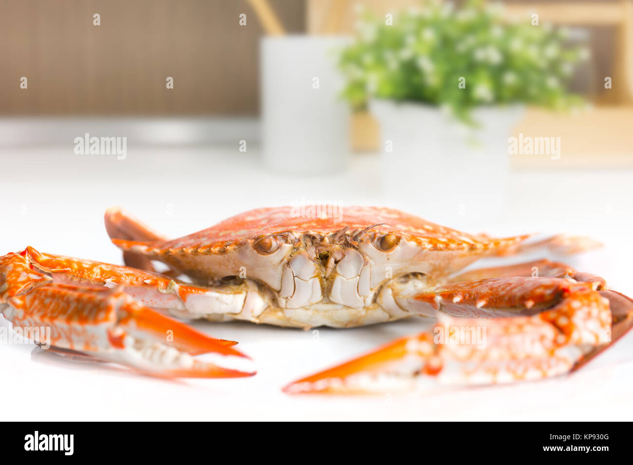 Crab cook for food in the Kitchen Stock Photo - Alamy