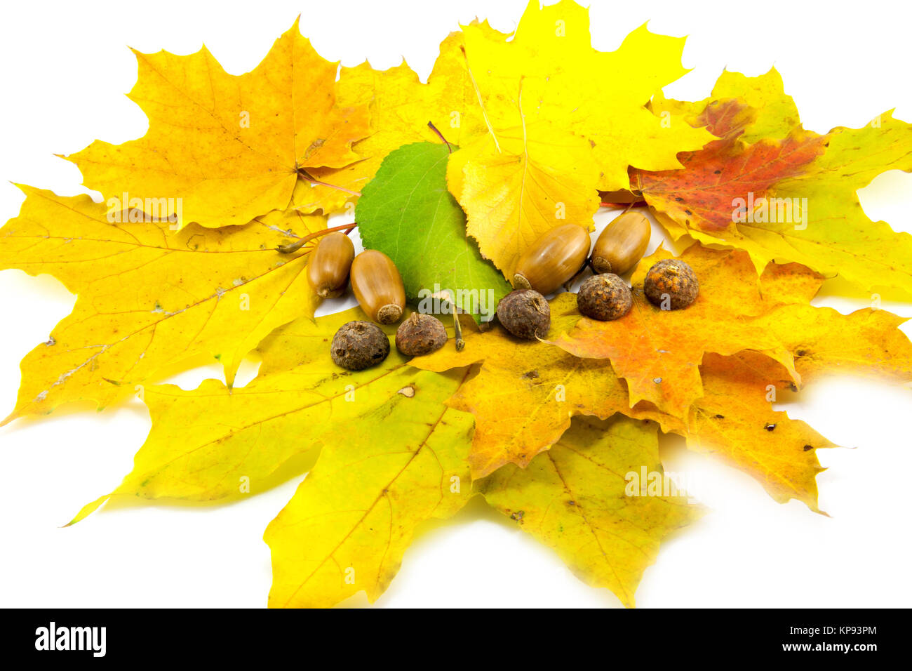 Yellow leaf isolated on white background. Stock Photo Stock Photo - Alamy