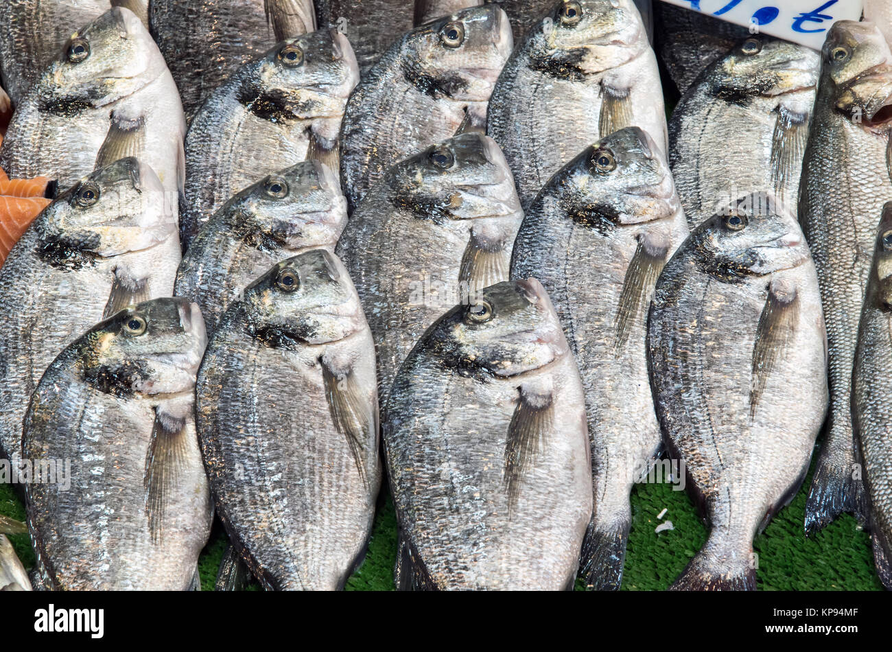 Golden strap bream hi-res stock photography and images - Alamy