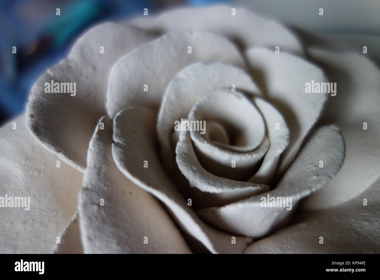Tinted rose hi-res stock photography and images - Alamy