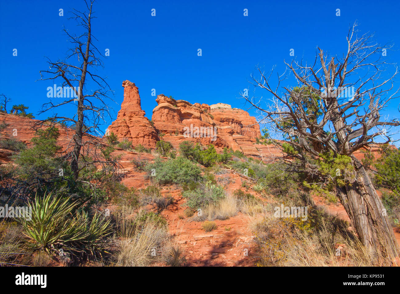 Red Rock Desert Landscape Stock Photo - Alamy