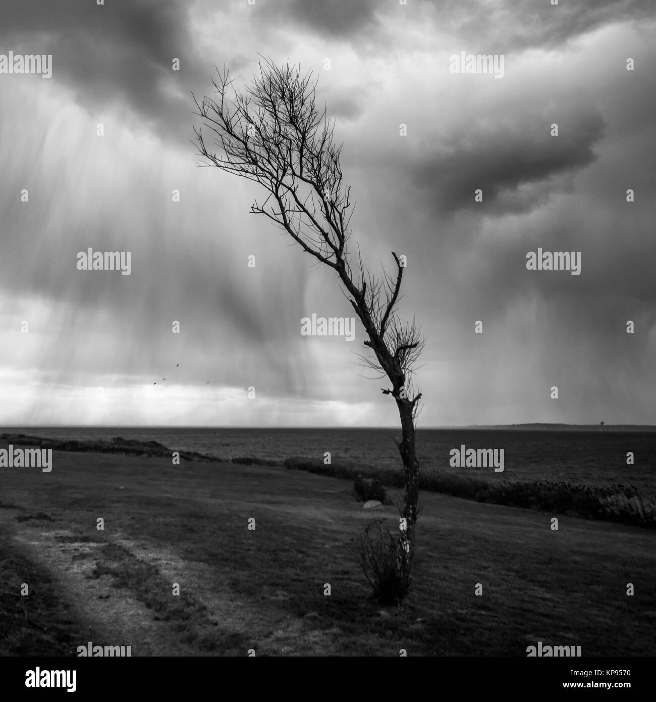 Beautiful lonely beach in Black and White Stock Photos & Images - Alamy
