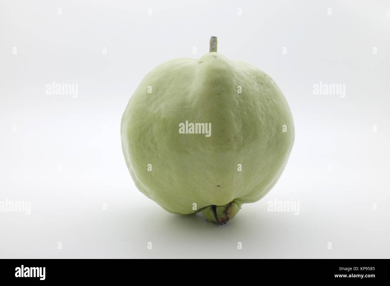 Fresh guava without leaf Stock Photo - Alamy