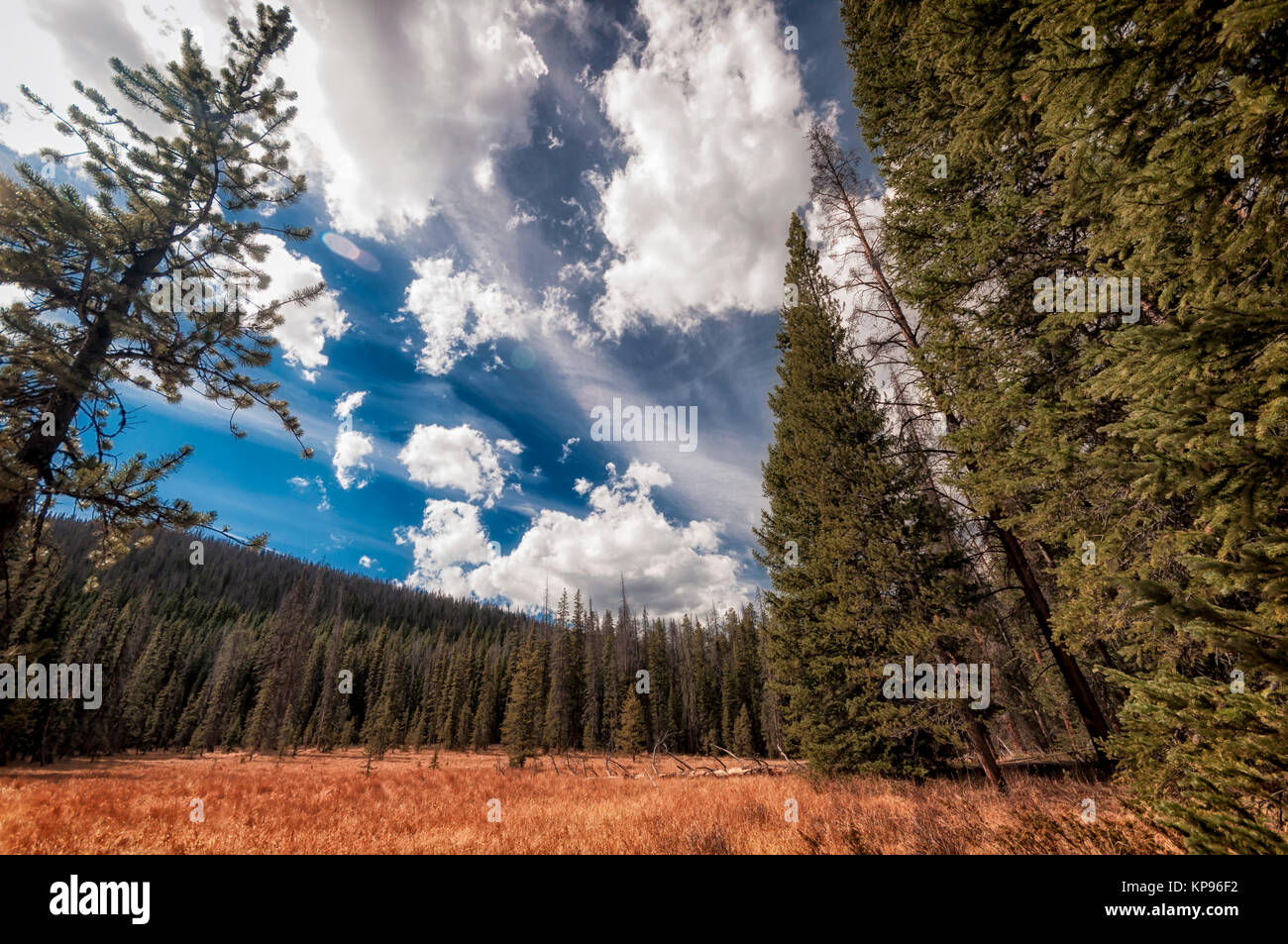 Landscape in Rocky Mountains National Park Stock Photo - Alamy