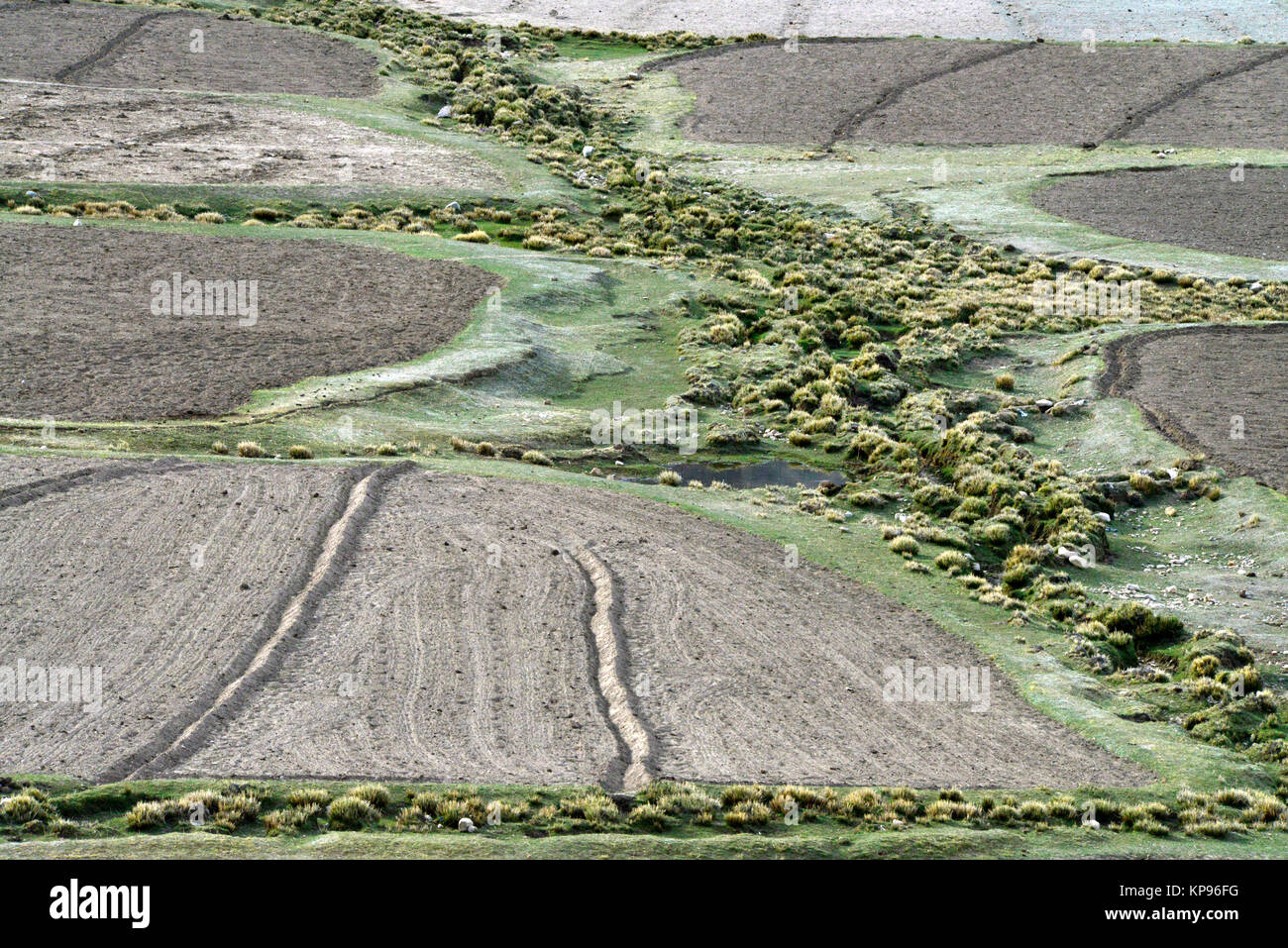 Plowed areas of farmed land, in the middle of a huge green patch of ...