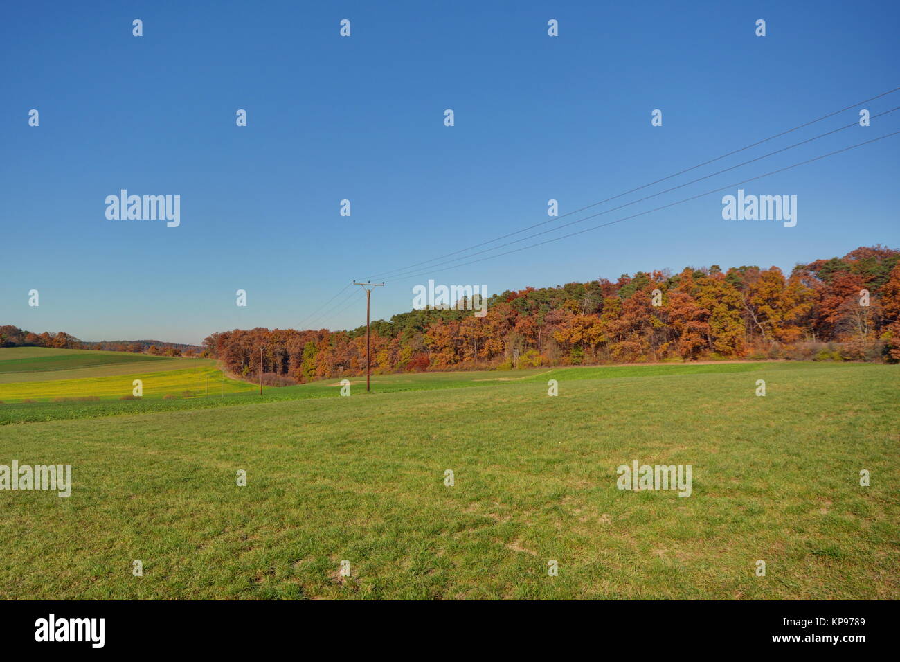 Autumn fields and forests Stock Photo - Alamy