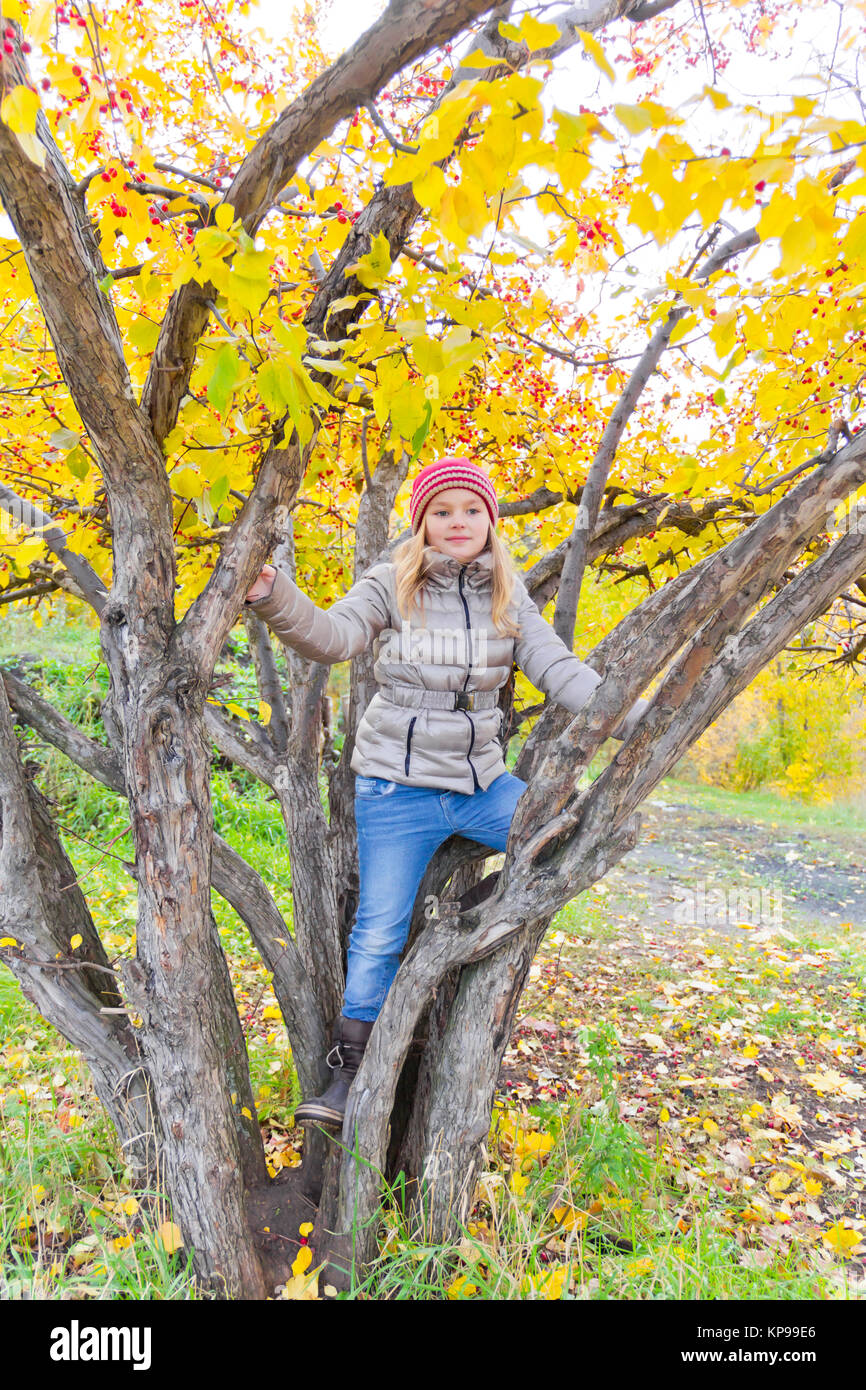 Girl at the autumn tree Stock Photo - Alamy