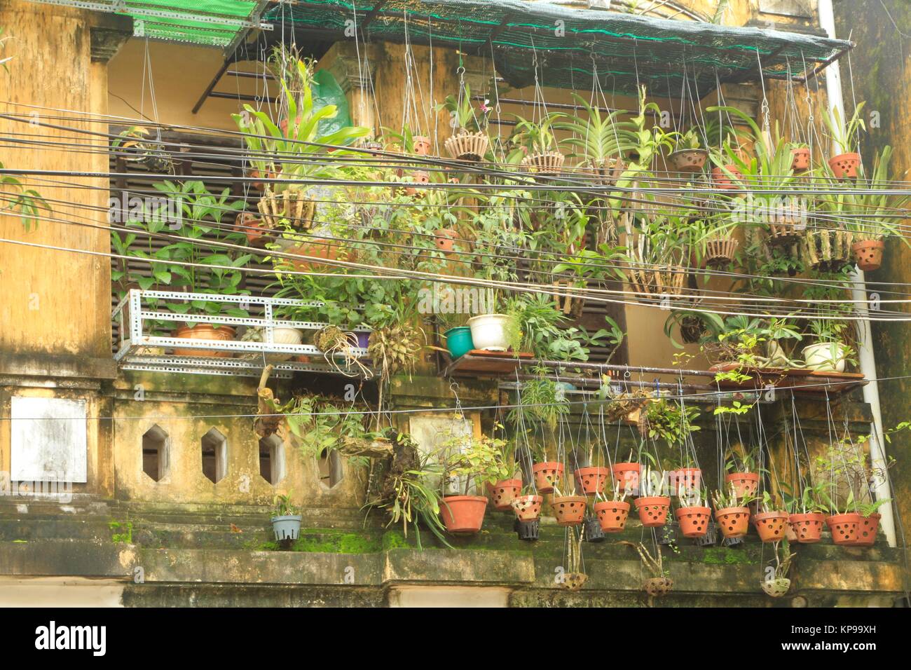 Plants on a balcony in the Ancient City of Hoi An, Vietnam Stock Photo ...