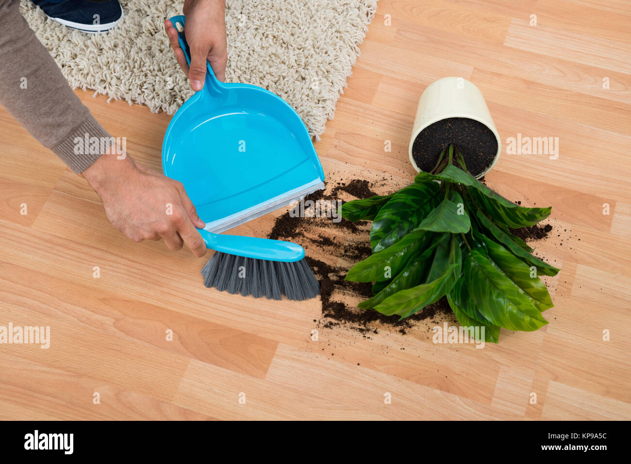 Man Cleaning Mud Spilled From Potted Plant On Floor Stock Photo - Alamy