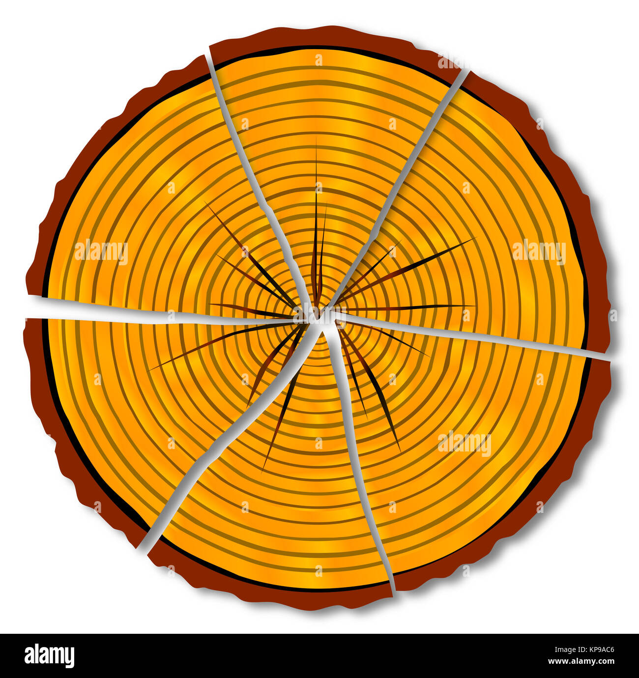 Cracked log end Cut Out Stock Images & Pictures - Alamy