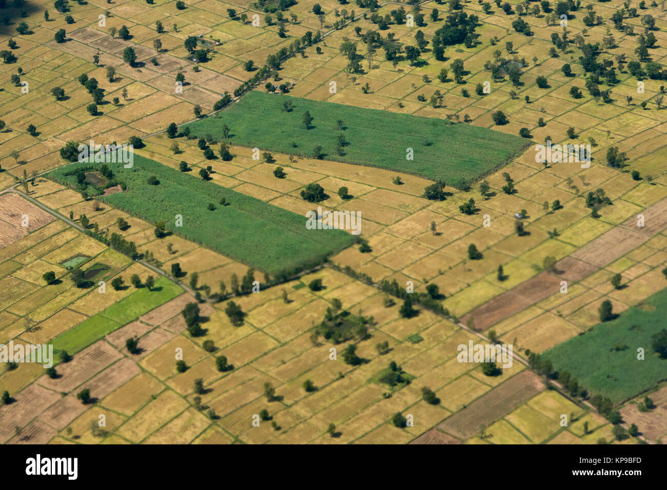 thailand isan buri ram landscape fields Stock Photo - Alamy