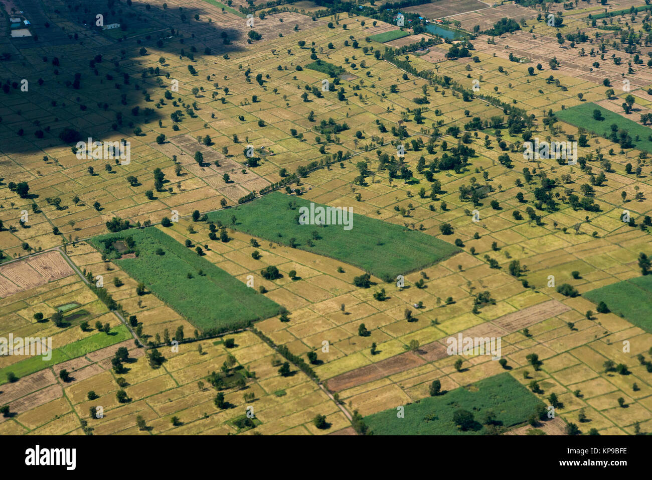thailand isan buri ram landscape fields Stock Photo - Alamy