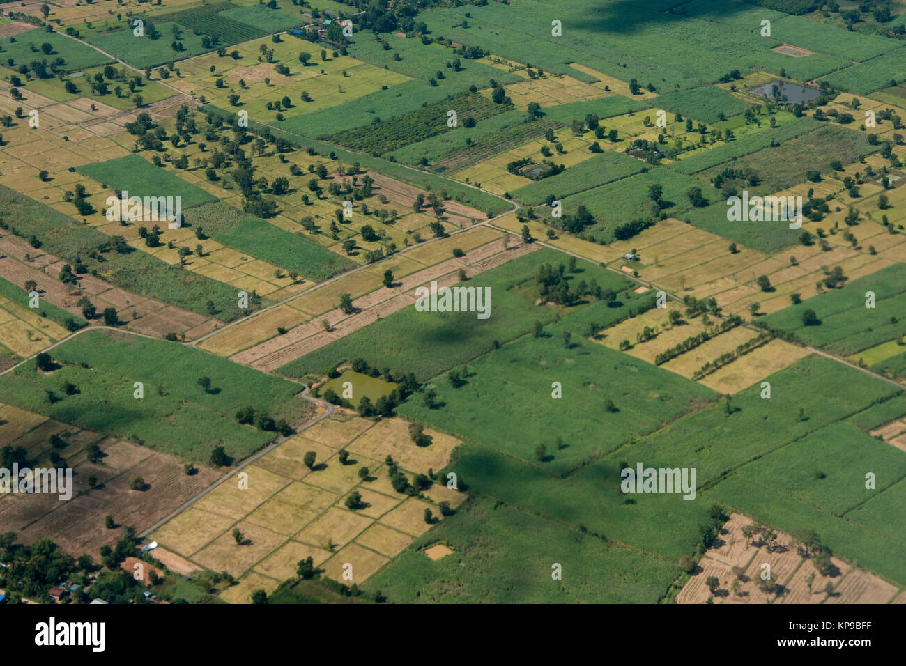 thailand isan buri ram landscape fields Stock Photo - Alamy