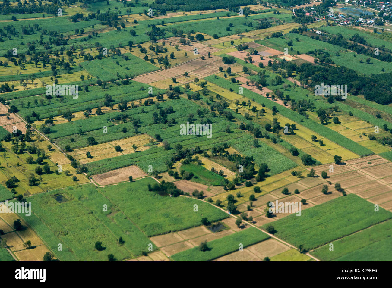 thailand isan buri ram landscape fields Stock Photo - Alamy