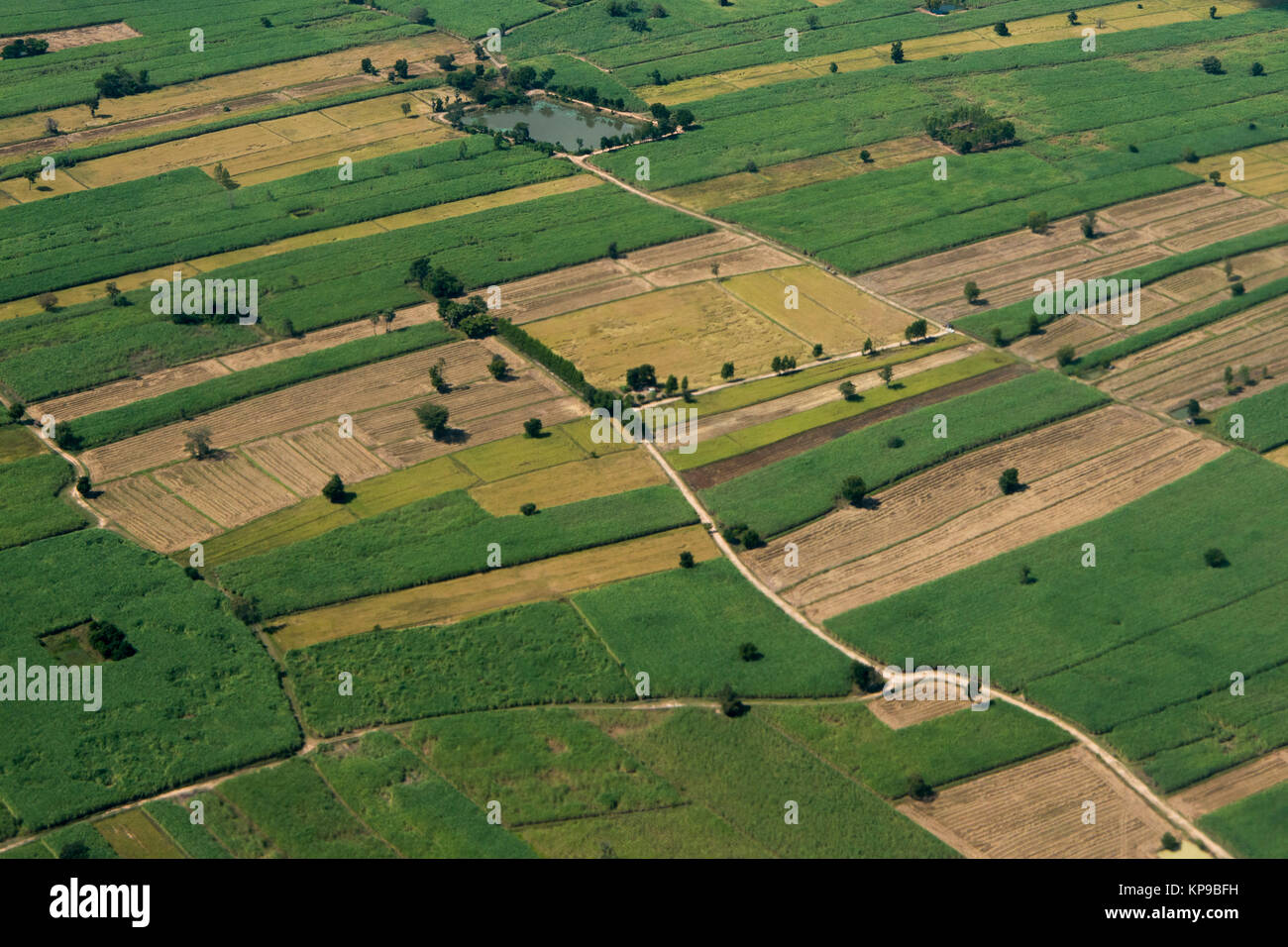 thailand isan buri ram landscape fields Stock Photo - Alamy
