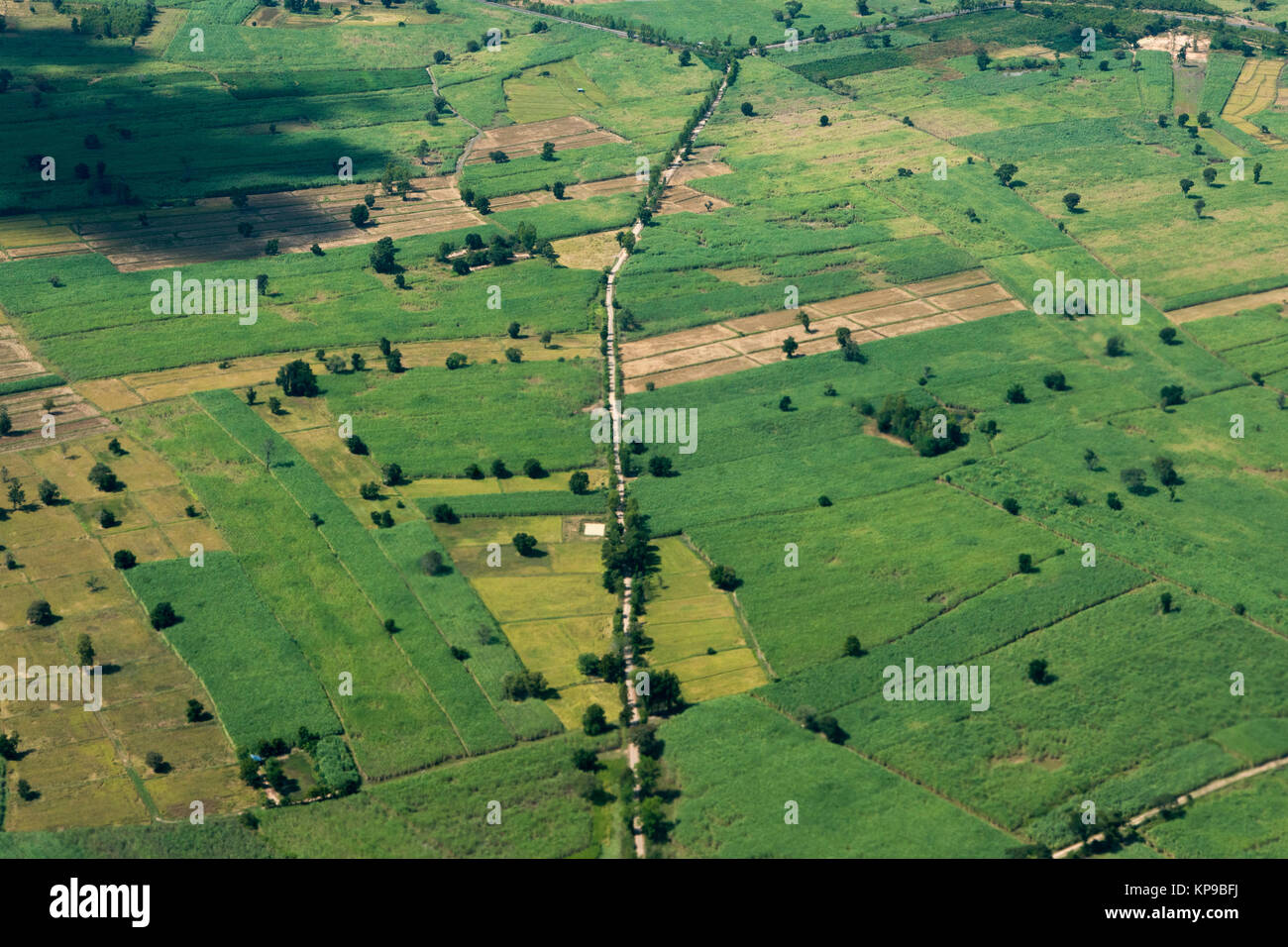 thailand isan buri ram landscape fields Stock Photo - Alamy