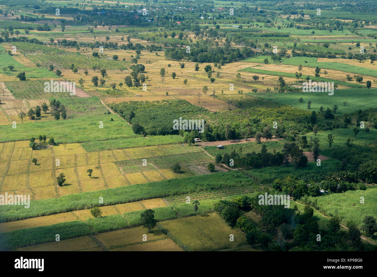thailand isan buri ram landscape fields Stock Photo - Alamy