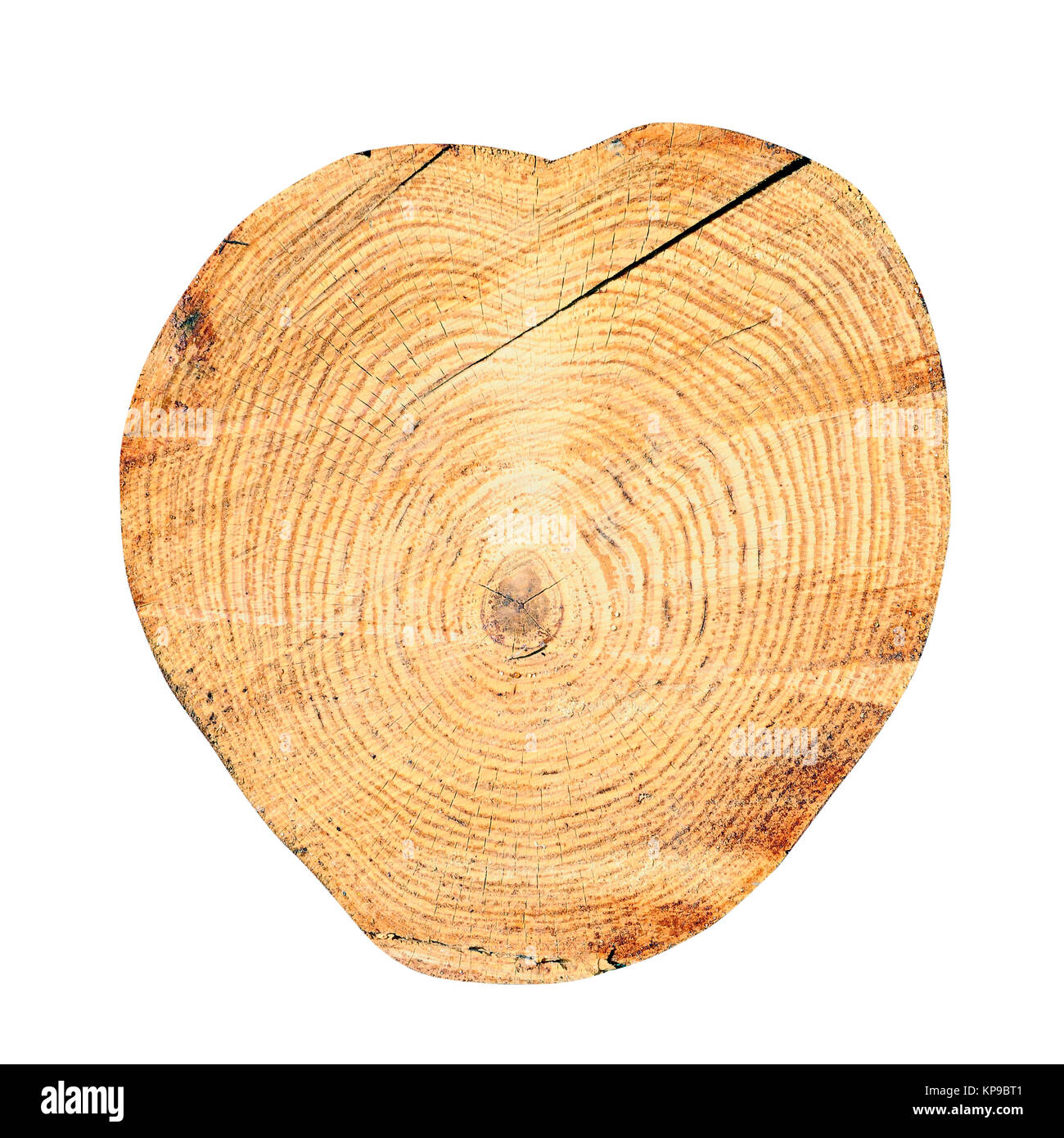 Heart shape tree stump hi-res stock photography and images - Alamy