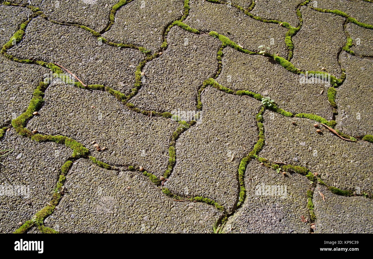 Plaster ground soil earth hi-res stock photography and images - Alamy