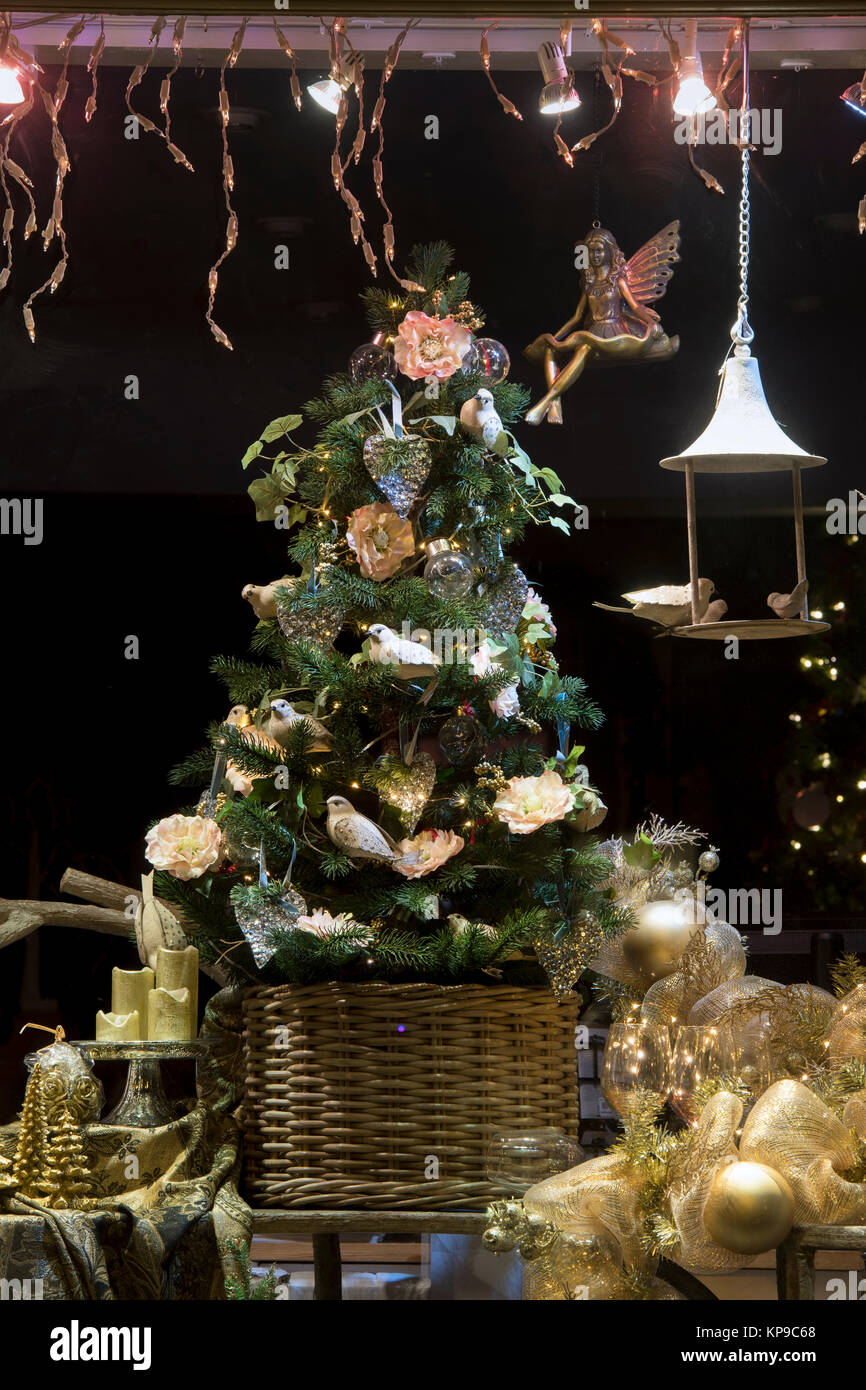 Christmas shop window display with a christmas tree at night. Stow on ...