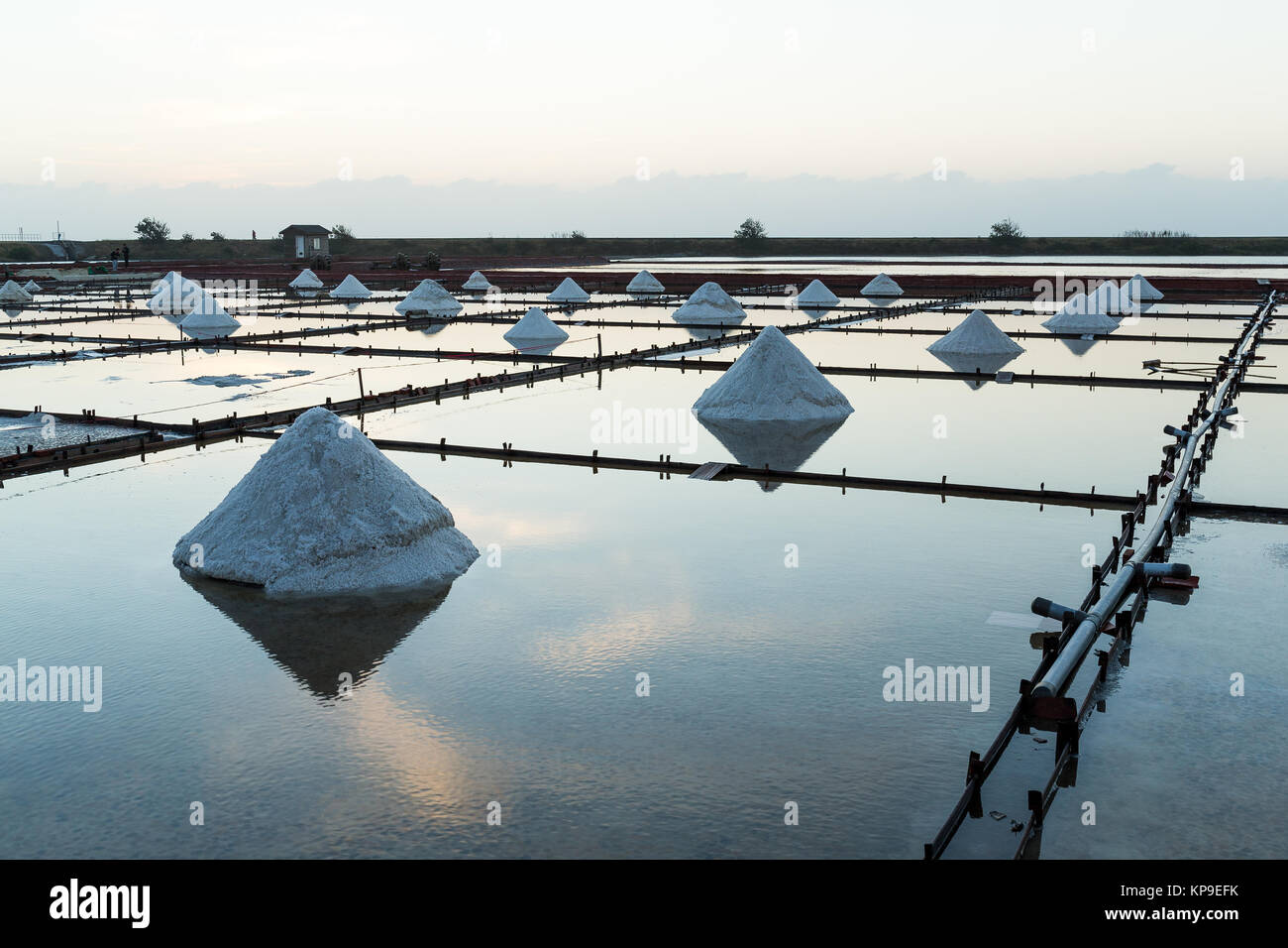 Saline soil farming hi-res stock photography and images - Alamy
