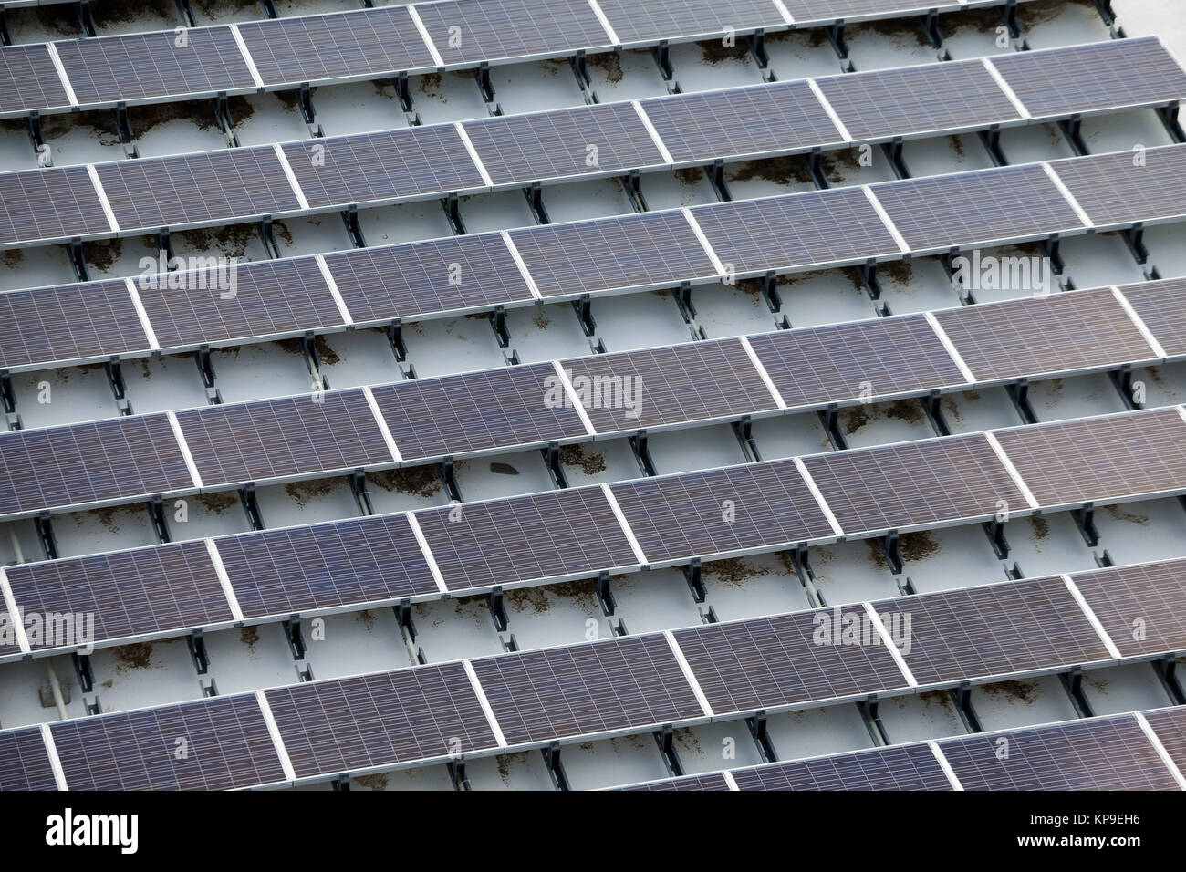 Solar panel plant Stock Photo - Alamy
