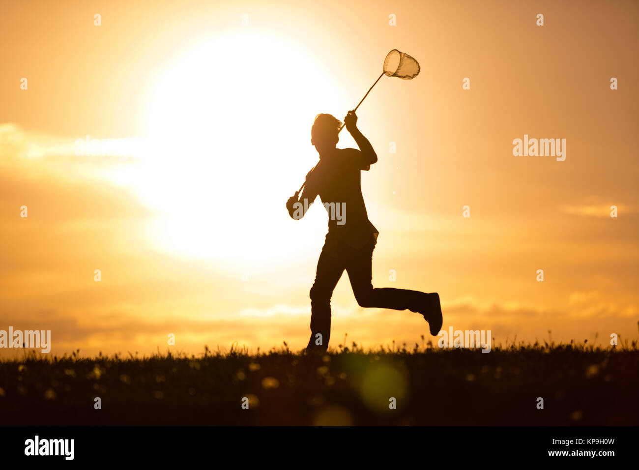 Active insects hi-res stock photography and images - Alamy