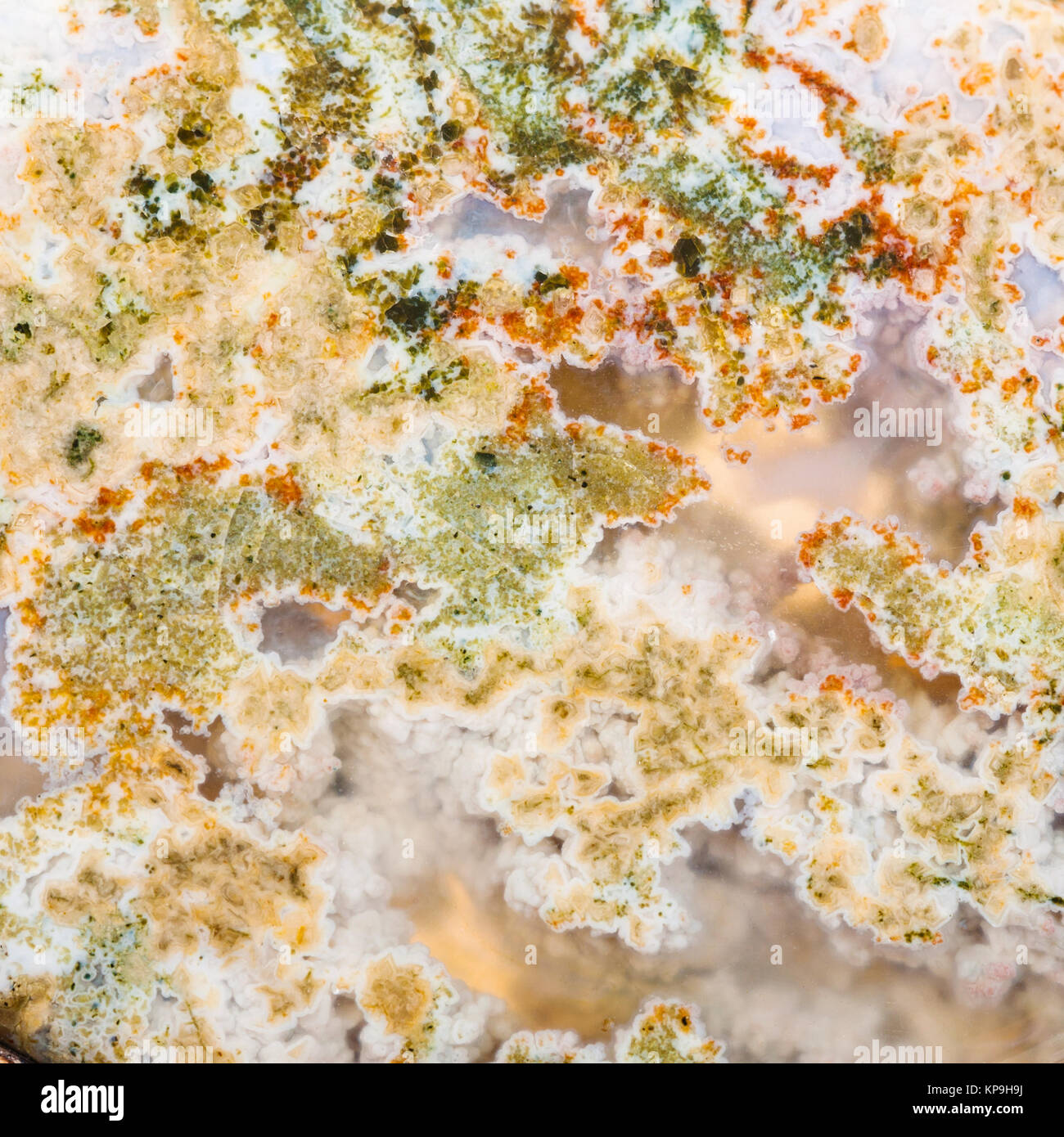 Green moss agate hi-res stock photography and images - Alamy