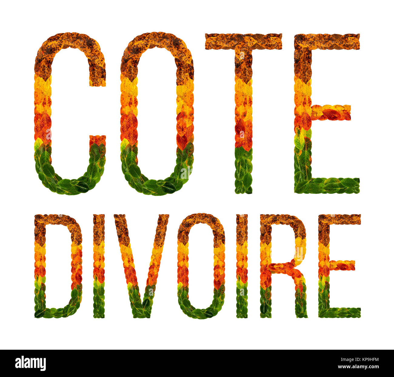 word Cote DIvoire country is written with leaves on a white insulated ...