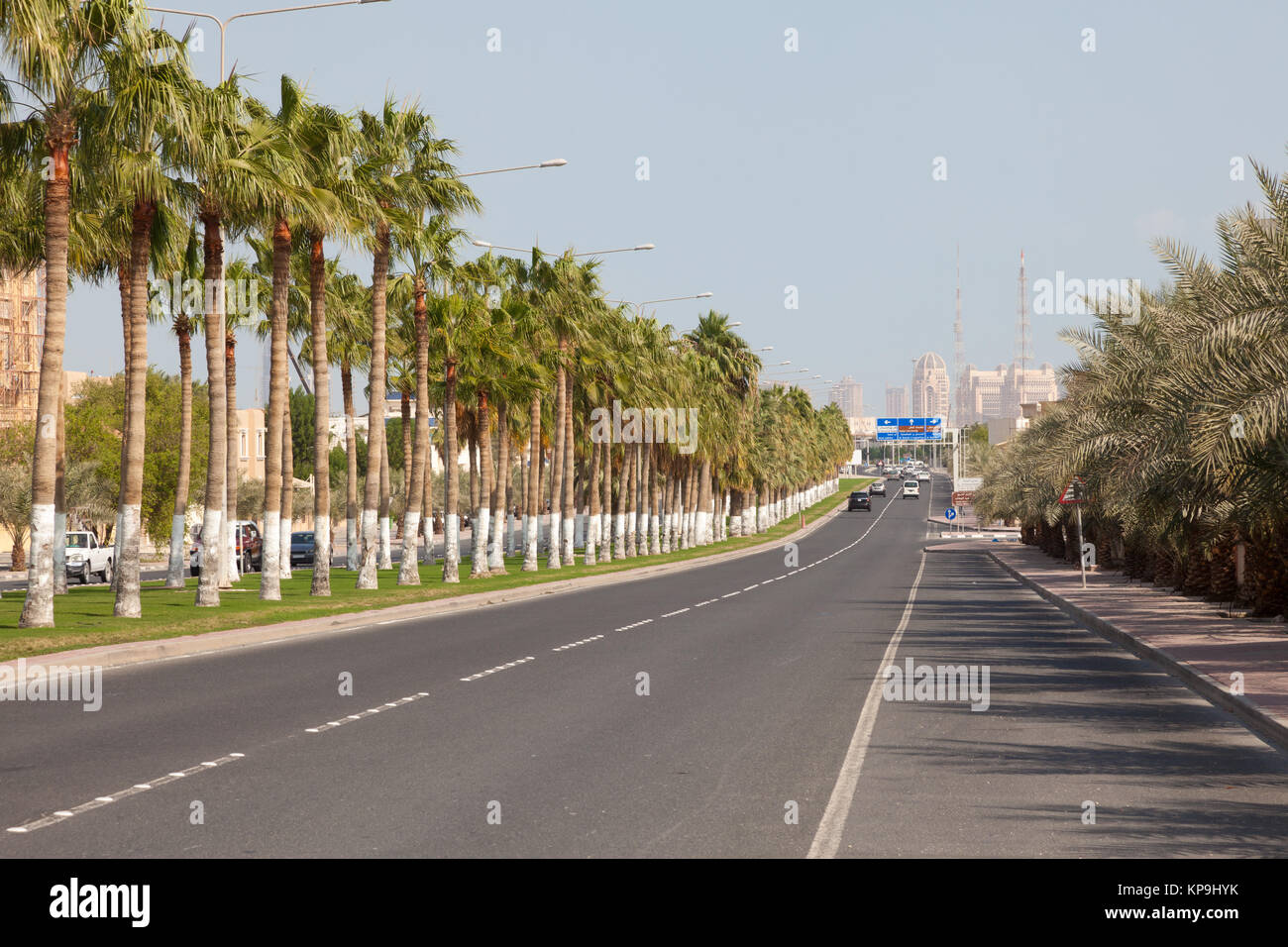 Alley with palm trees in Doha, Qatar Stock Photo - Alamy