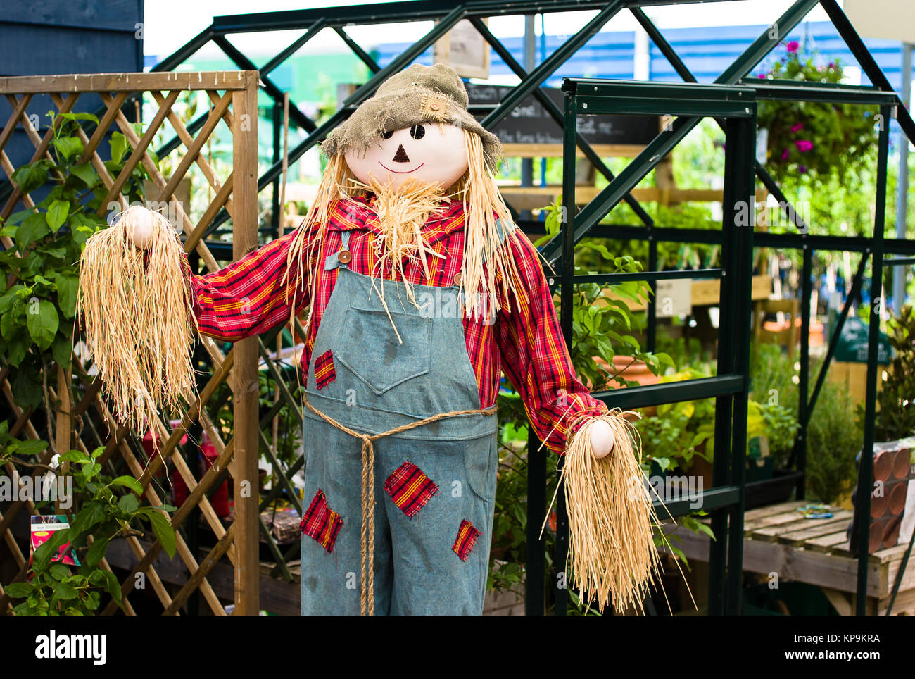A classic scarecrow featuring in a gardening display at an English ...