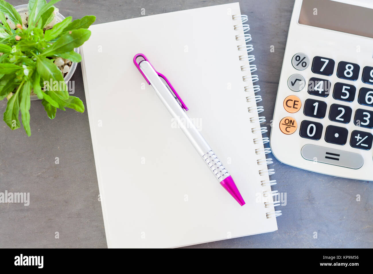 Calculator, notepad, pen and green plant on grey background Stock Photo ... Calculator, notepad, pen and green plant on grey background Stock Photo ...