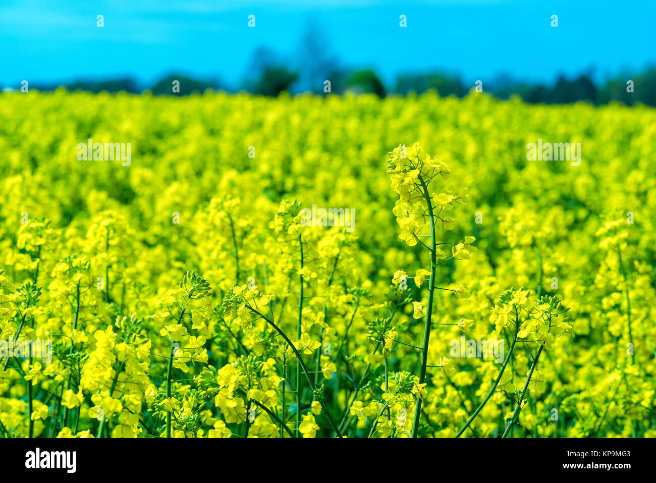 Regenerative agriculture hi-res stock photography and images - Alamy